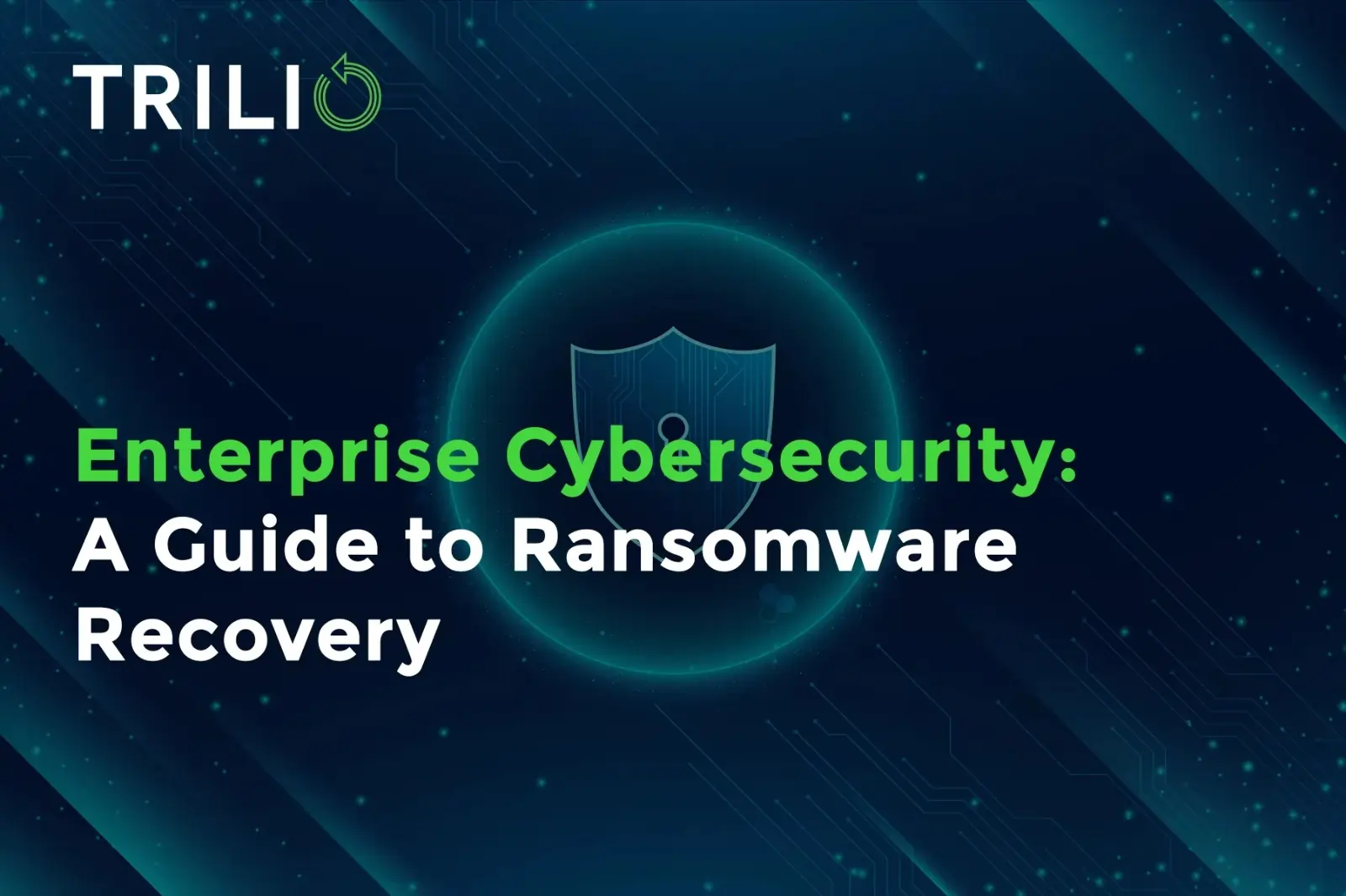 Enterprise Cybersecurity: A Guide to Ransomware Recovery